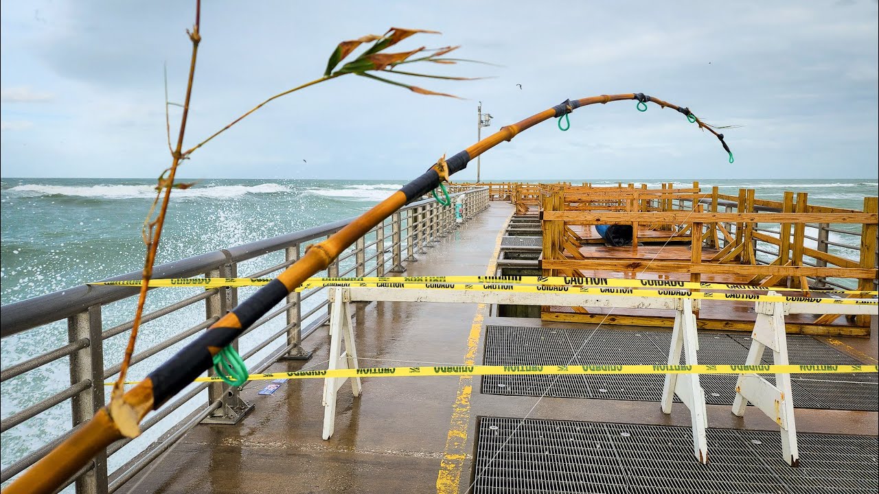 Making a BAMBOO Fishing Rod on the Jetty - SNOOK ON! - YouTube