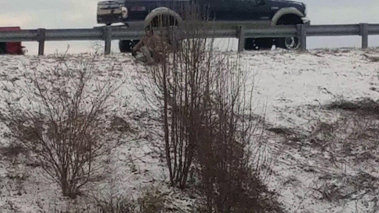 Tree crash on sled - YouTube