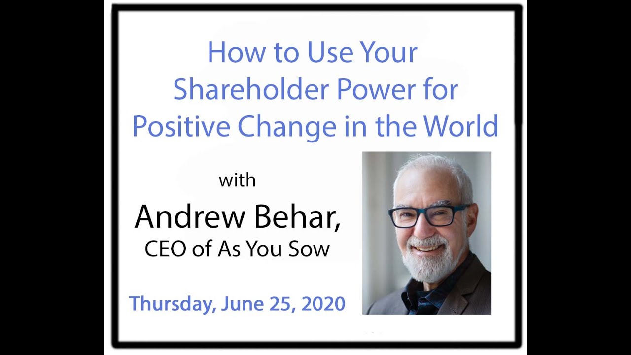 Chicory Wealth Webinar on Shareholder Power for Positive Change with ...