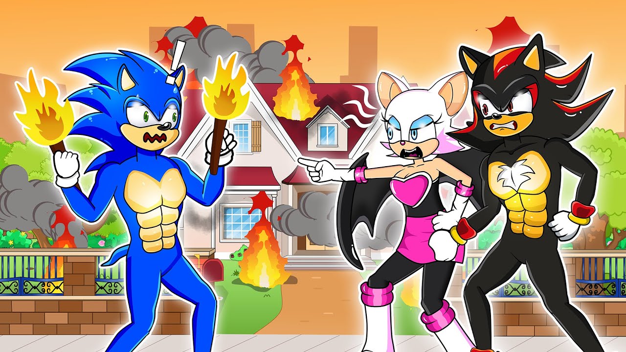 Is This Bad Thing Really Caused By Sonic? Why are Shadow and Rouge ...
