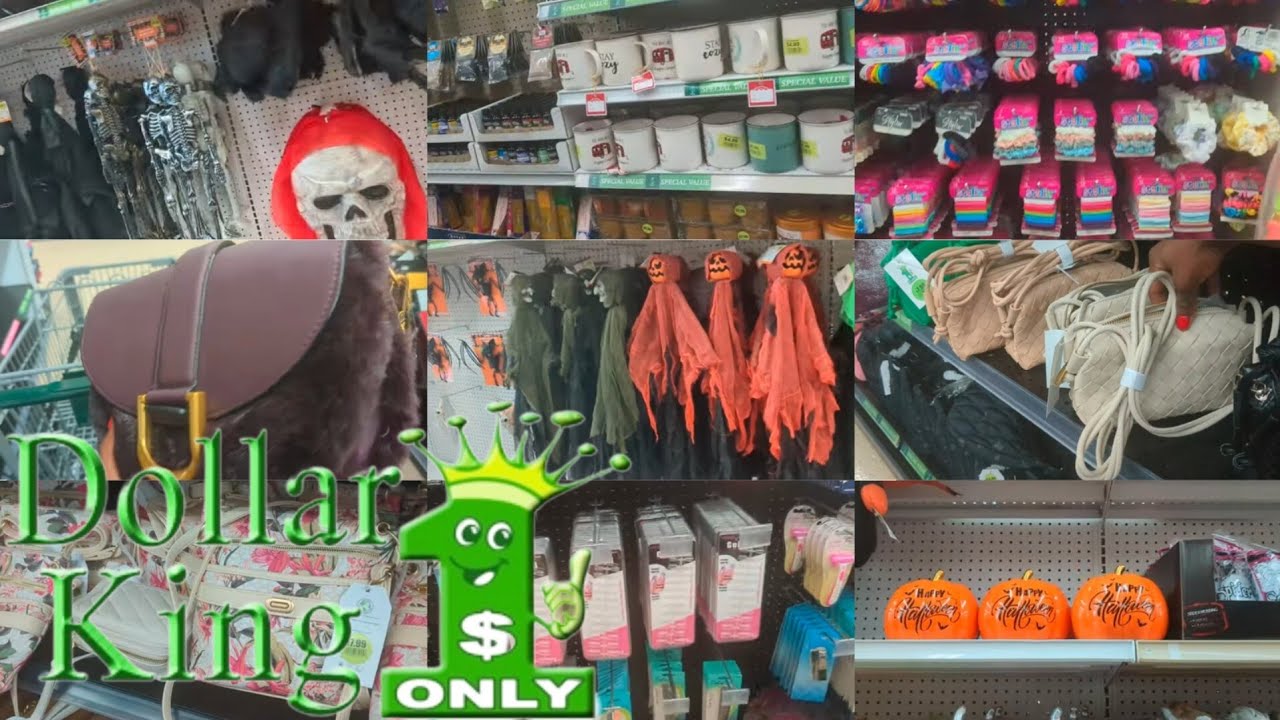 Dollar king affordable bags/fall decor/Halloween costume - YouTube