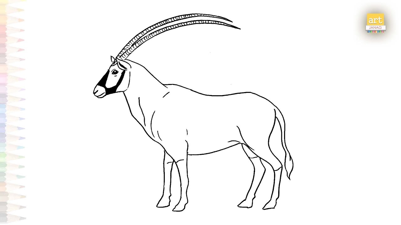 Arabian Oryx drawing easy | Art tutorial | How to draw white Oryx step ...