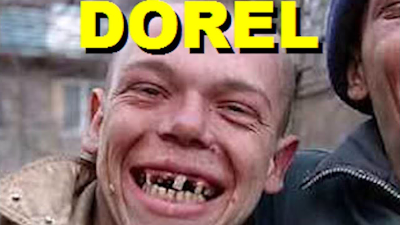 Faze comice 😄 Dorel 😄 Incearca sa nu razi 😄 Mori de ras 😄 Pisici ...