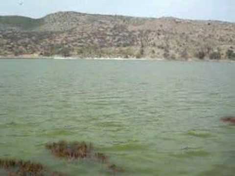 Jahlar Lake, RAMSAR Site, Salt Range Pakistan - YouTube
