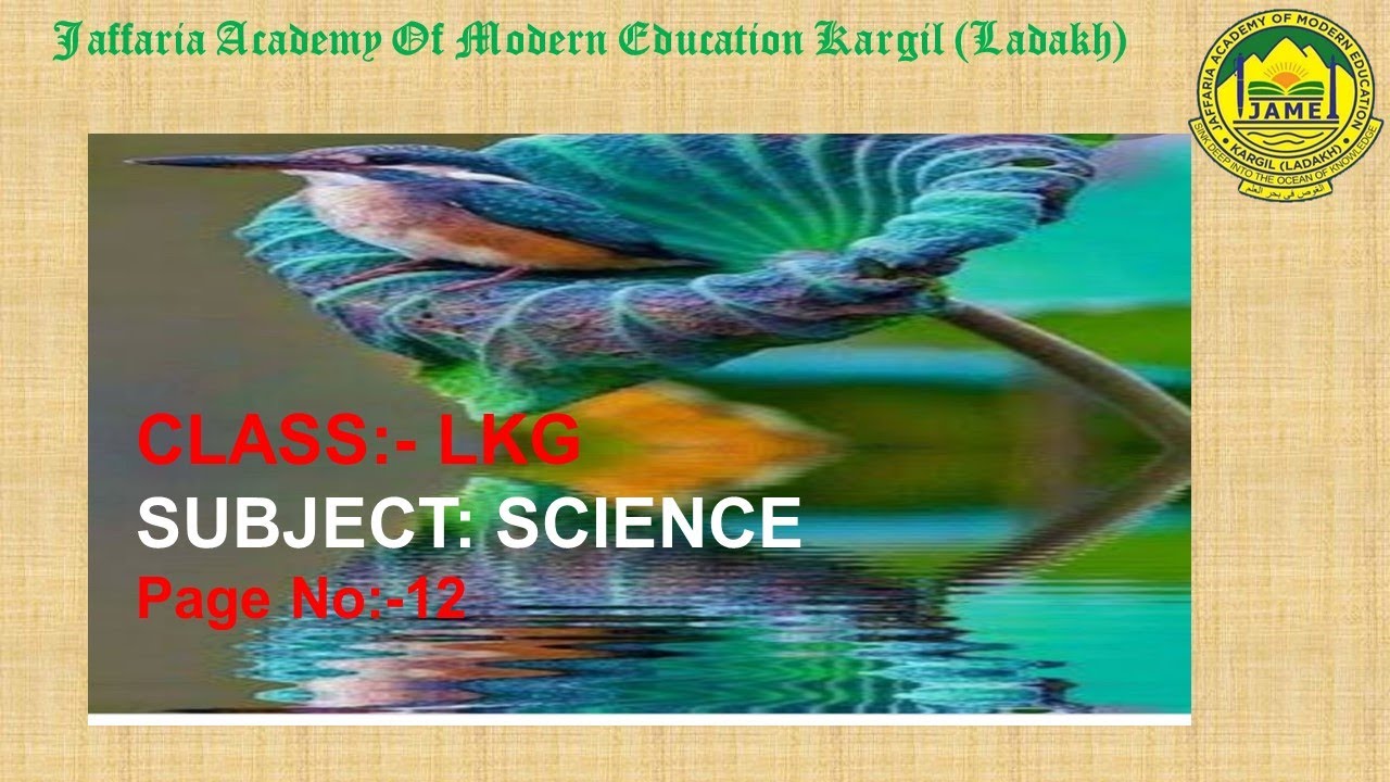 Class LKG Science Page No.12 - YouTube