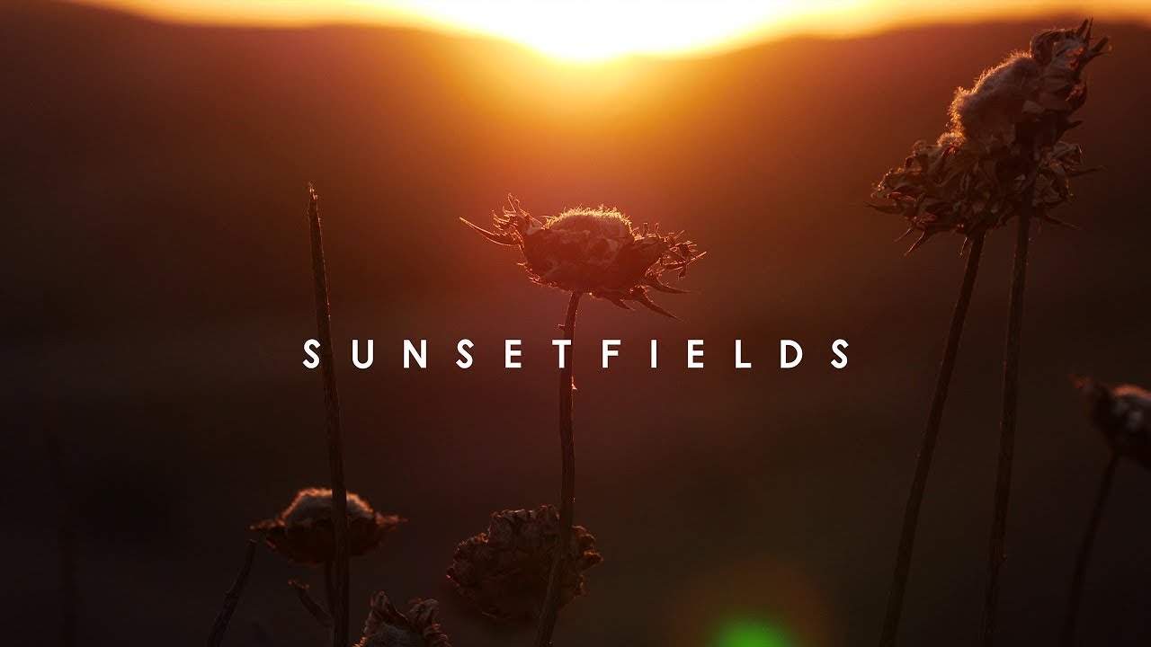 Sunset Fields | Cinematic Video | Panasonic G7 4K - YouTube