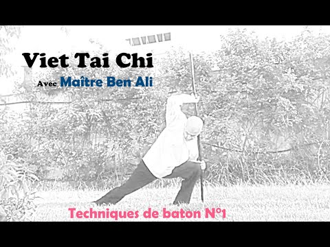 Viet Tai Chi avec Maître Ben Ali : Techniques bâton N°1