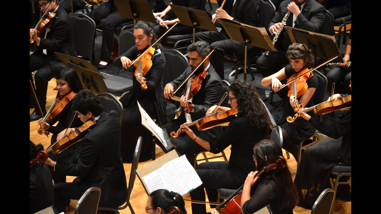 A Look at the Students in USM's Symphony Orchestra - YouTube