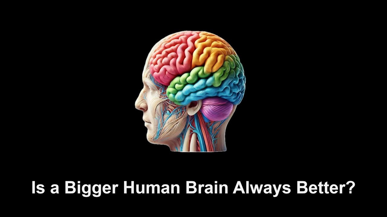 Is a Bigger Human Brain Always Better? Unraveling the Origins of the ...