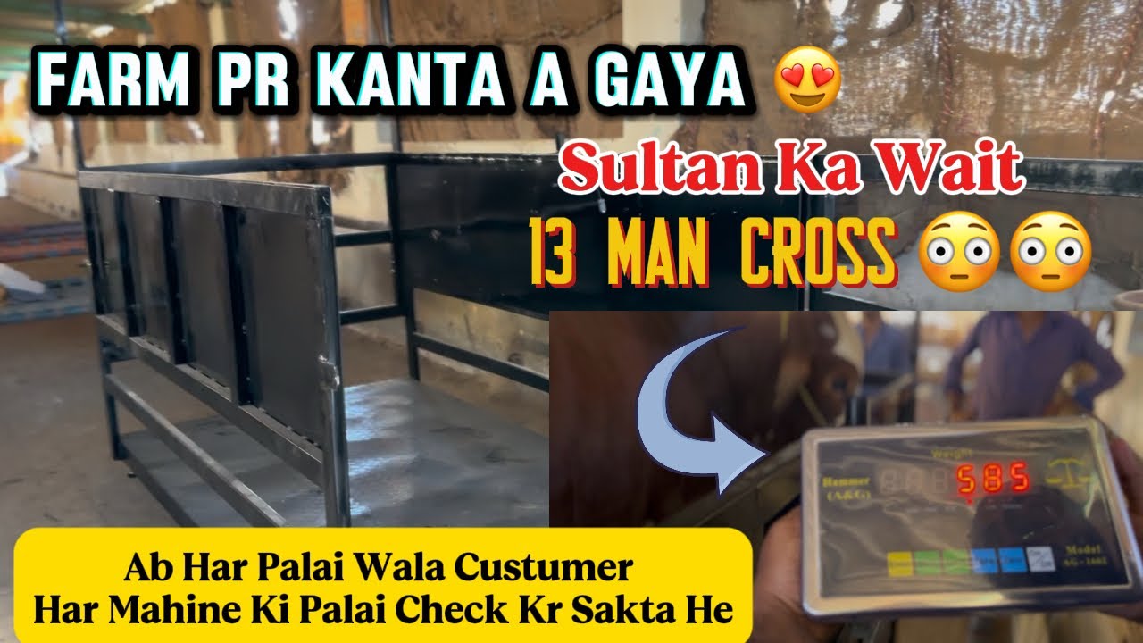 Farm Daily Update || Farm Pr Kanta Bhi A Gaya || #dailyvlogs # ...