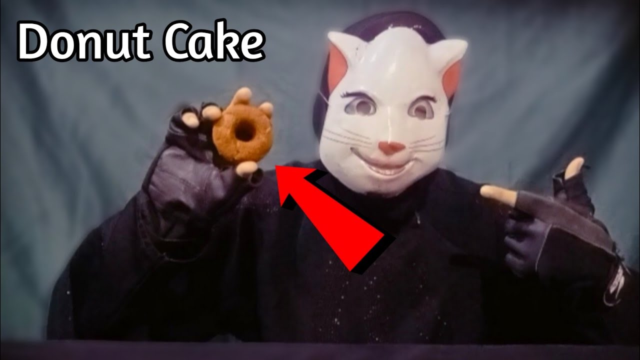 Cat 😺 Eating Donut Cake 🍰 Funny Moments | AM Fun - YouTube
