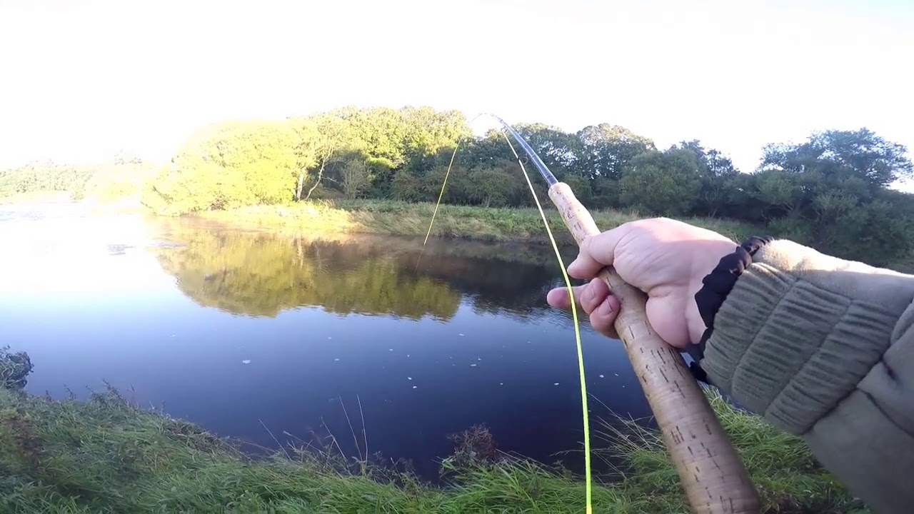 Whiteadder salmon 2020 - YouTube