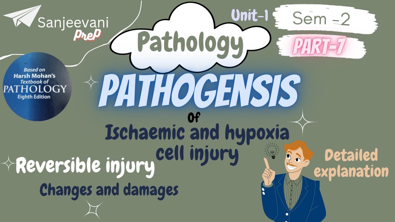 Pathogenesis of Ischaemic and Hypoxia Cell Injury #hypoxia # ...
