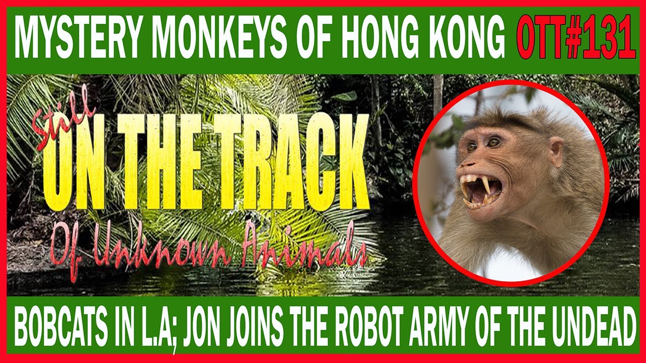 Hong Kong's mystery Monkeys; RIP Di Francis; felid updates; Jon joins ...