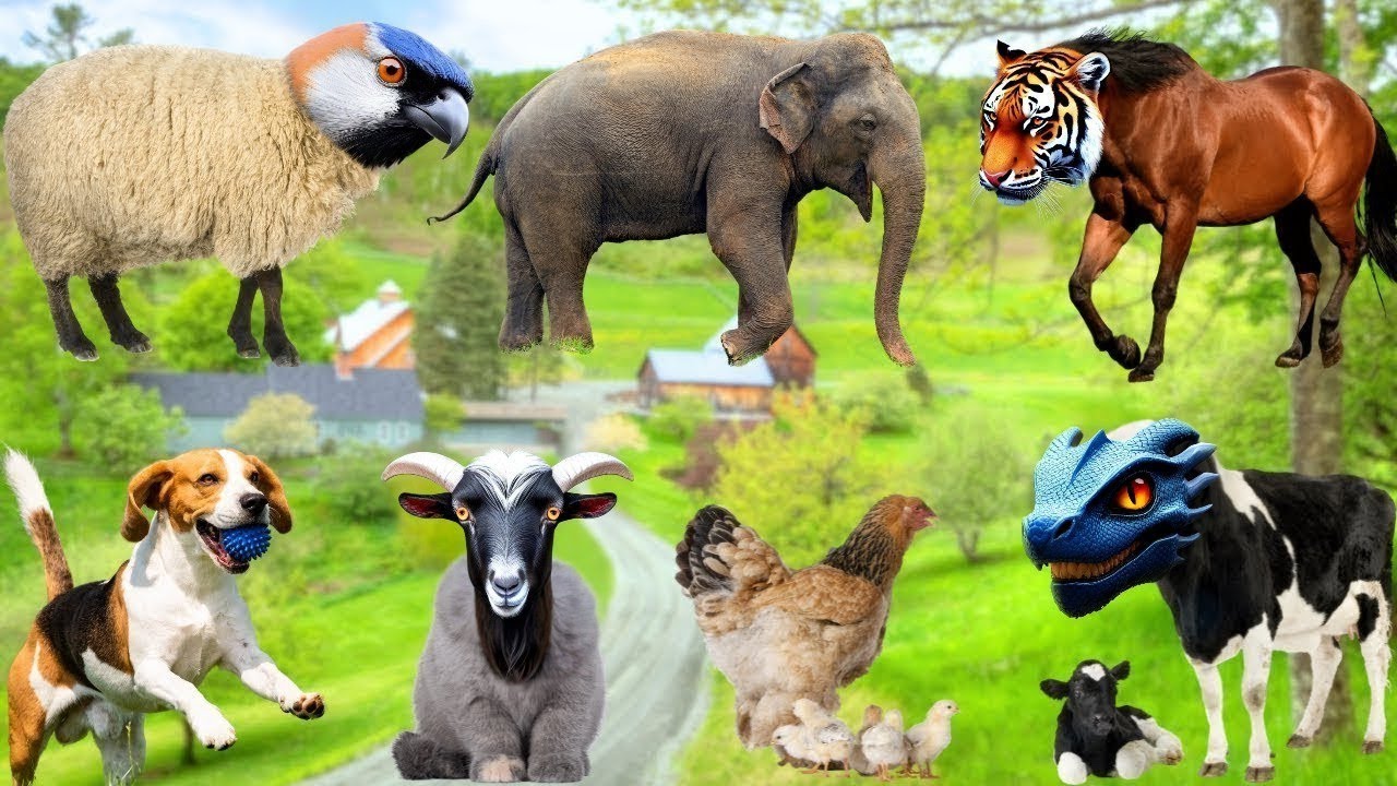 Animal Sounds Collection - Cow, Sheep, Dog, Chicken, Pig - Engraved ...