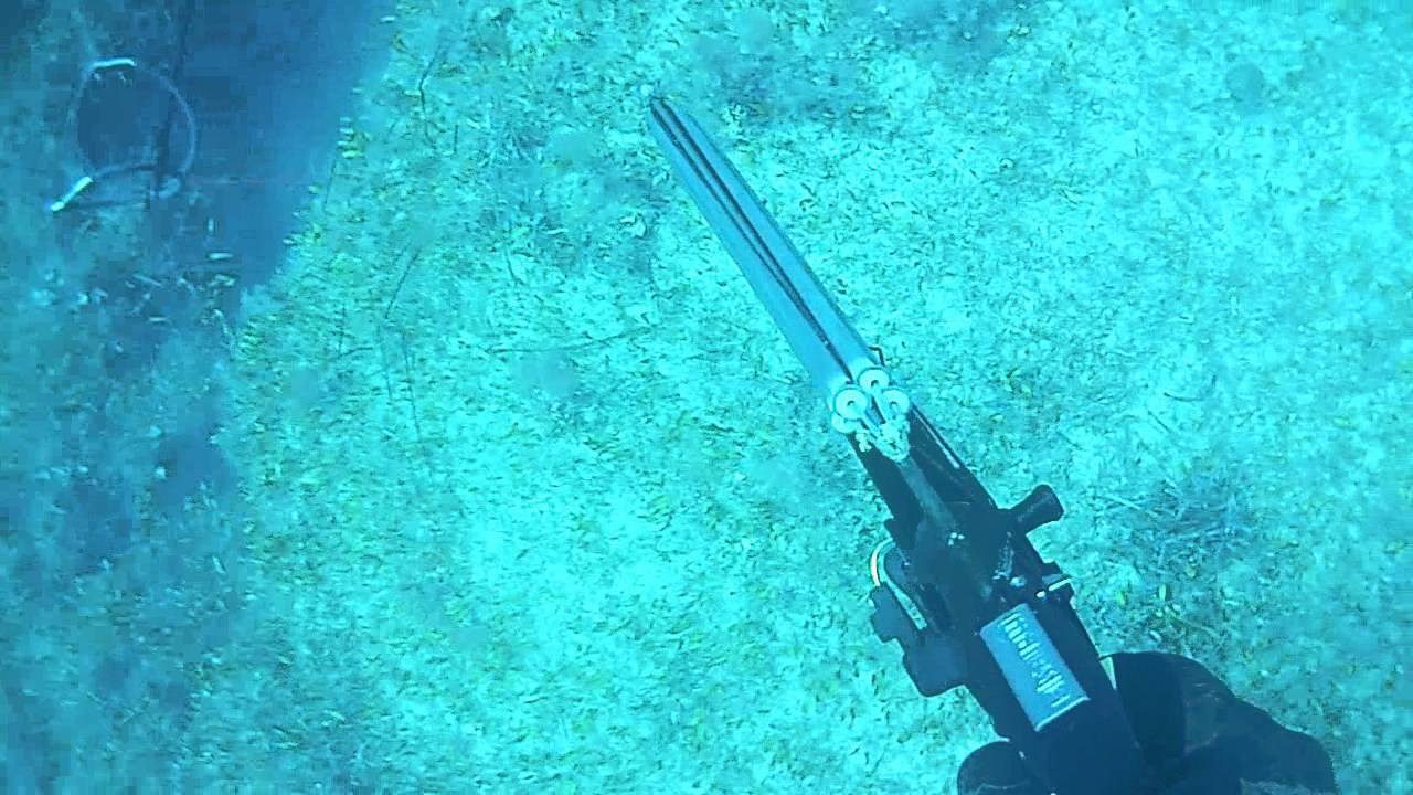 Ψαροτουφεκο στη Παφο - Πιγκες, Ροφοί Spearfishing in Pafos - YouTube