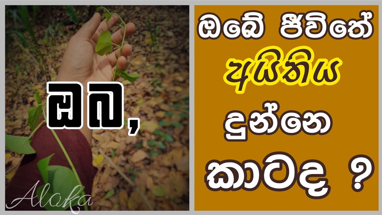 how do I identify the owner of my life? / owner of your life / a light ...