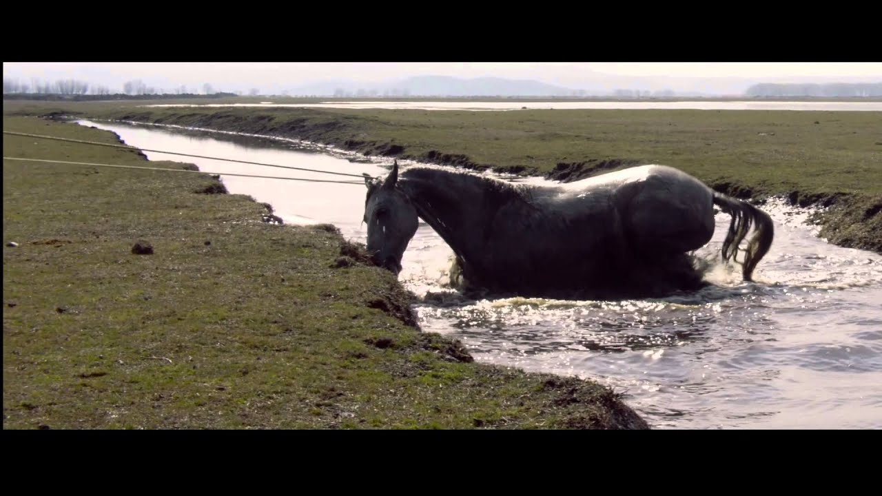 Winter Sleep 2014 Official Trailer [HD 1080p] - YouTube