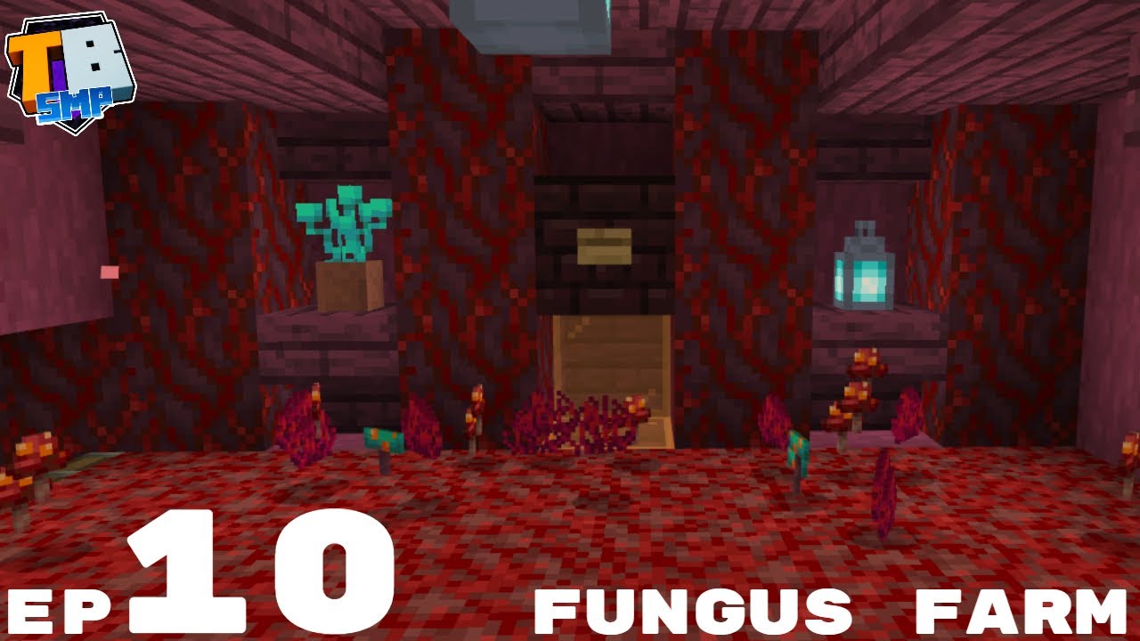 Fungus Farm And Mega Netherite Trip - Truly Bedrock Season 2 Minecraft ...