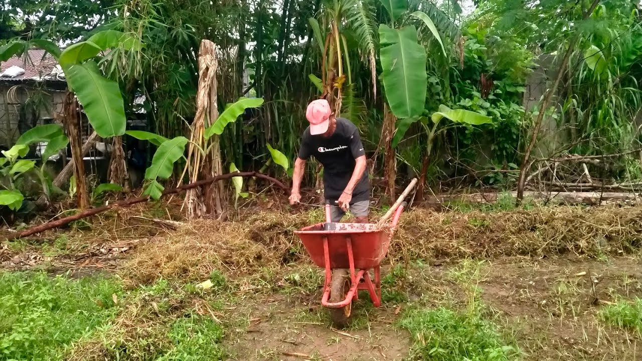Land preparation para sa taniman ng sitaw - YouTube