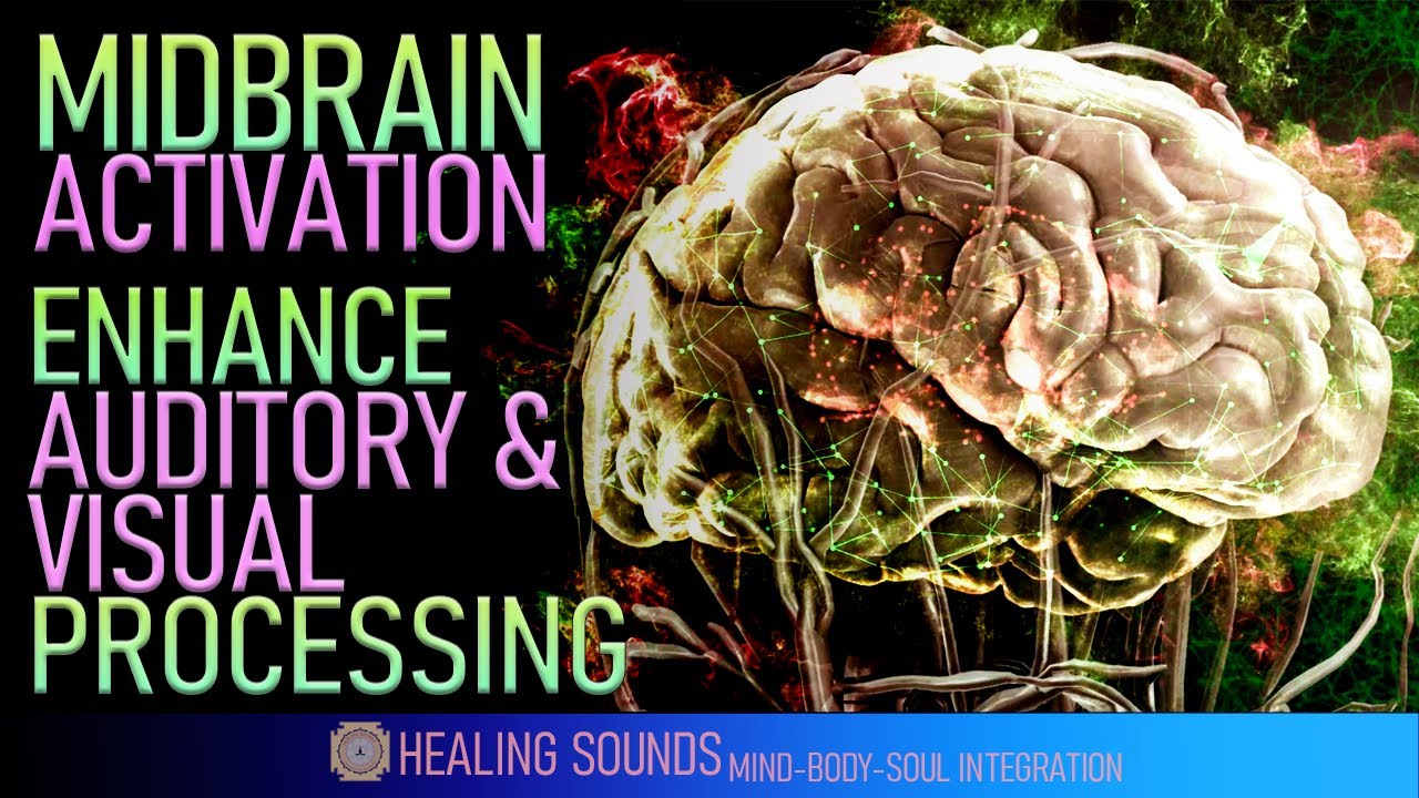 Midbrain Activation | Boost Motor Movement | Enhance Your Auditory ...