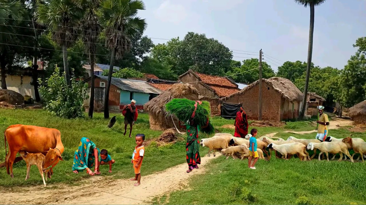 Natural village life in india || Daily routine in uttar pradesh village ...