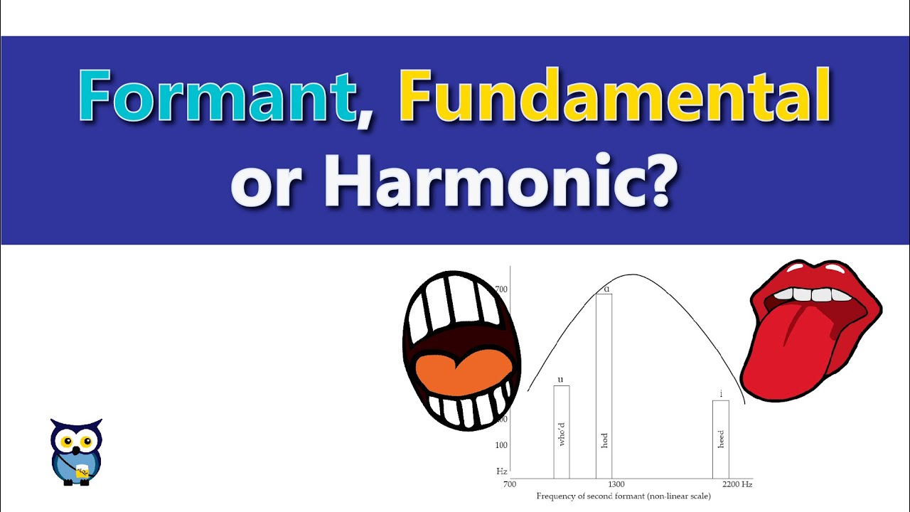 Formant, Fundamental, or Harmonic? - YouTube