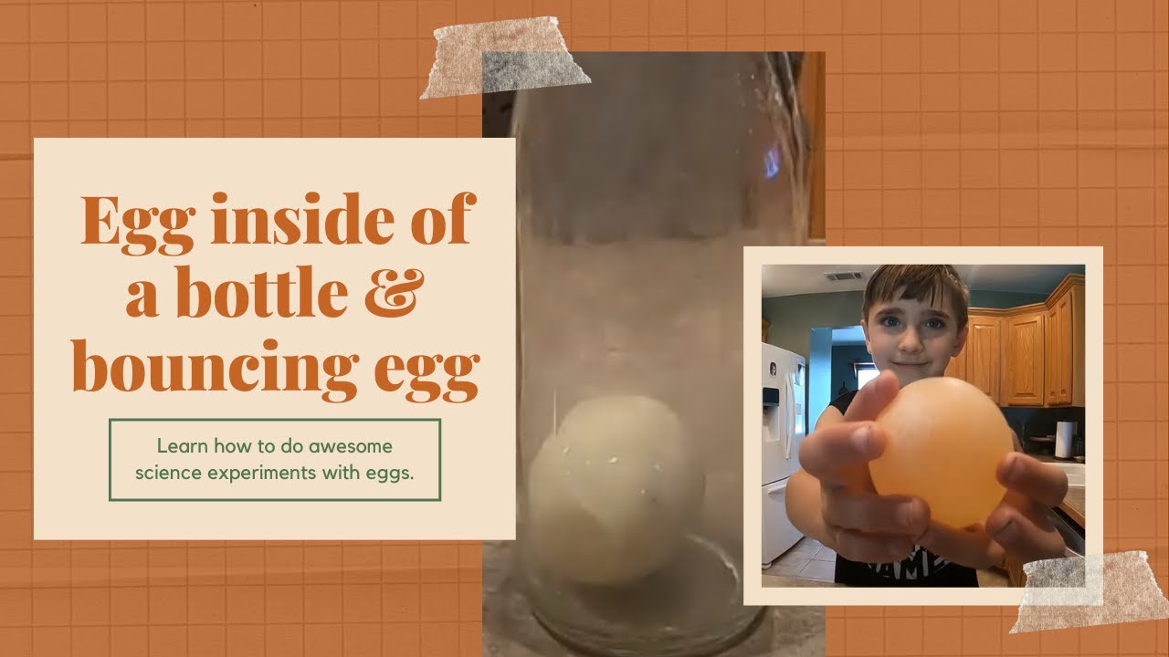 How to fit an egg inside of a bottle and disappearing egg shell/bouncing egg experiment - YouTube
