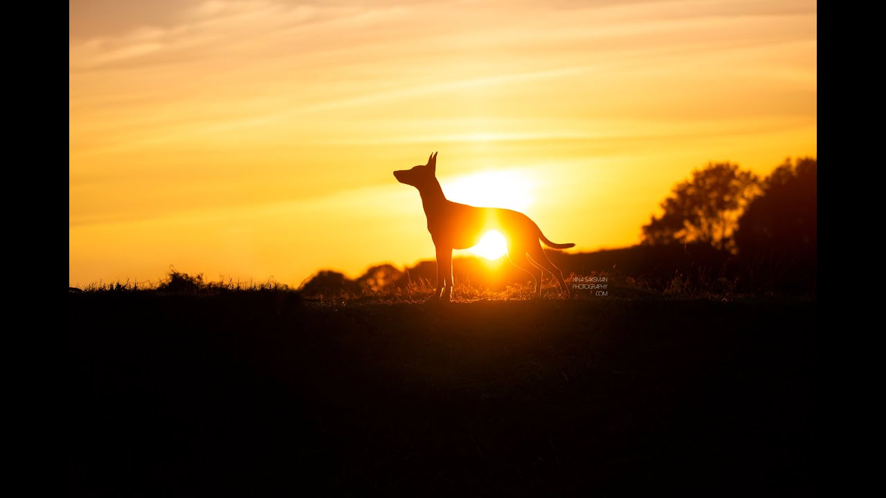 Easy sunset enhancements / Photoshop + Lightroom - YouTube