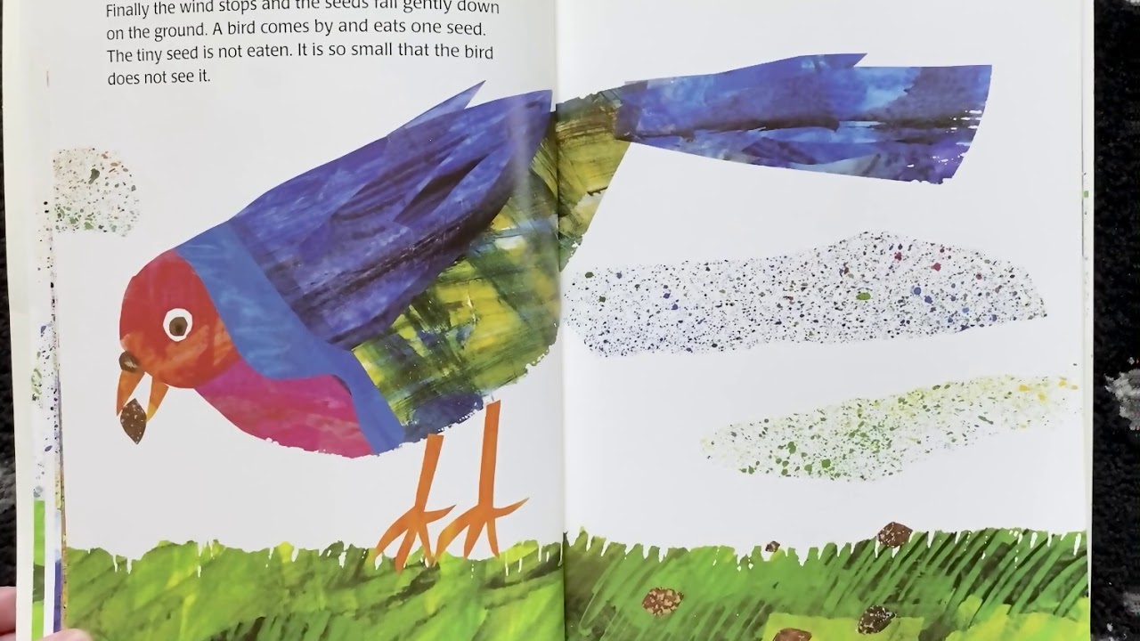 The Tiny Seed by Eric Carle - YouTube