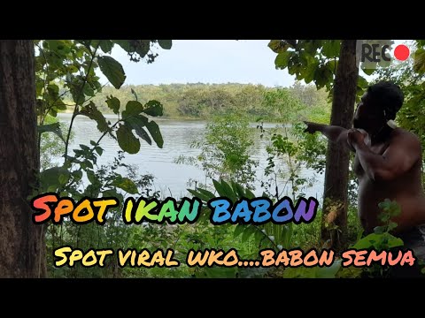 mancing tidak pakai baju ikan babon nafsu..mancing gokil