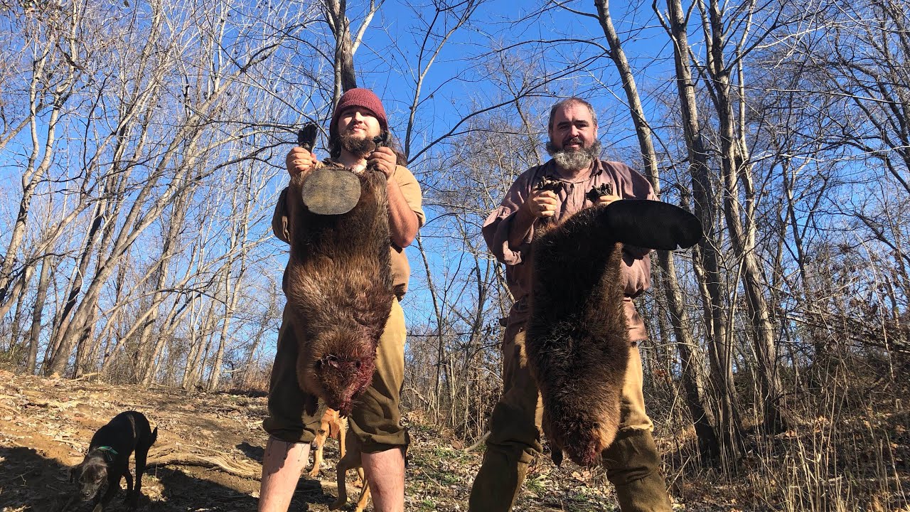 Trapping Beaver with Long Springs - YouTube