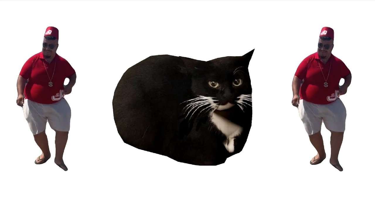 BRR SKIBIDI DOP DOP & Maxwell Cat (mashup) - YouTube