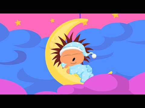 Kirpi Piki ninnileri ile uyku vakti 🌙