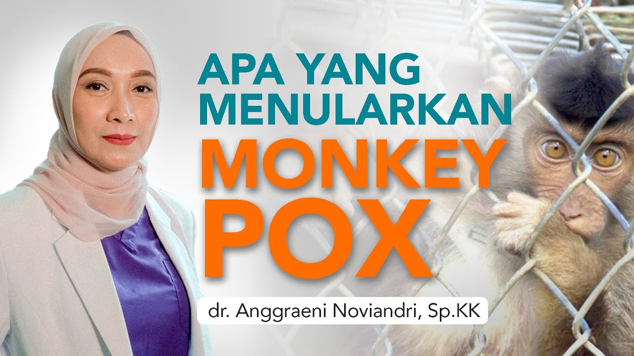Binatang apa saja pembawa virus MonkeyPox - YouTube