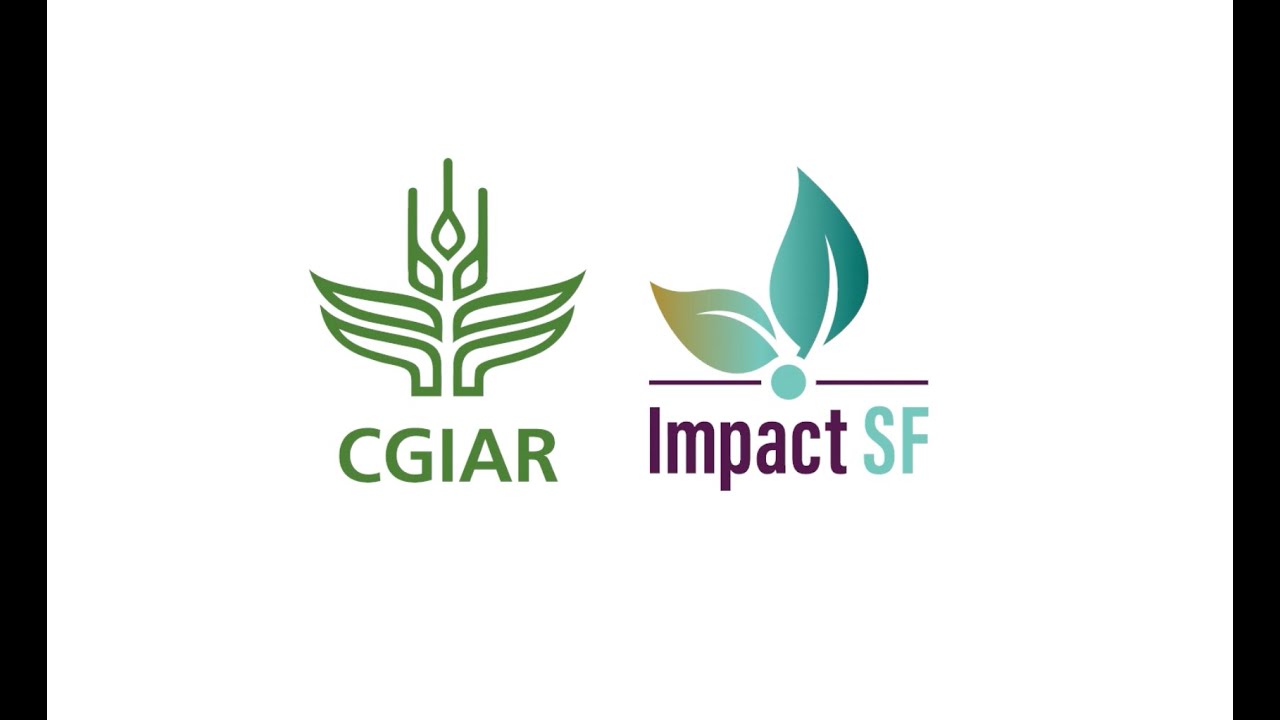 CGIAR Hub for Sustainable Finance (ImpactSF) - YouTube