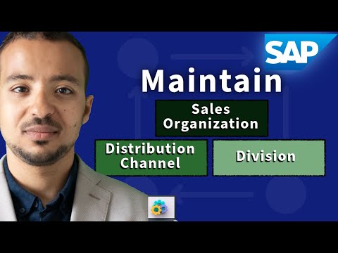SAP Sales Area Configuration | Sales Org, Distribution Channel & Division
