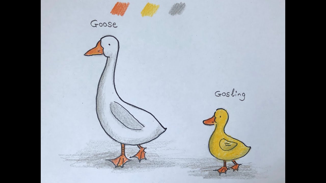 Goslings Drawing
