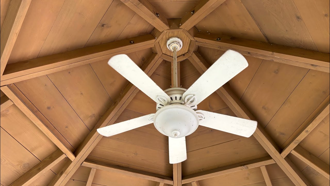 Wisconsin Ceiling Fan Sighting Marathon 2025 - YouTube