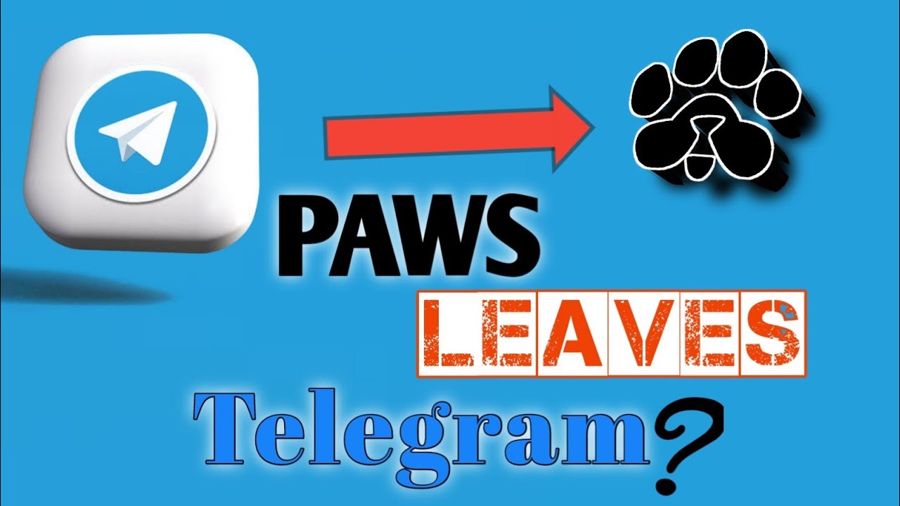 PAWS Exits Telegram? And Here is The Reason || How to Save Your Coins ...