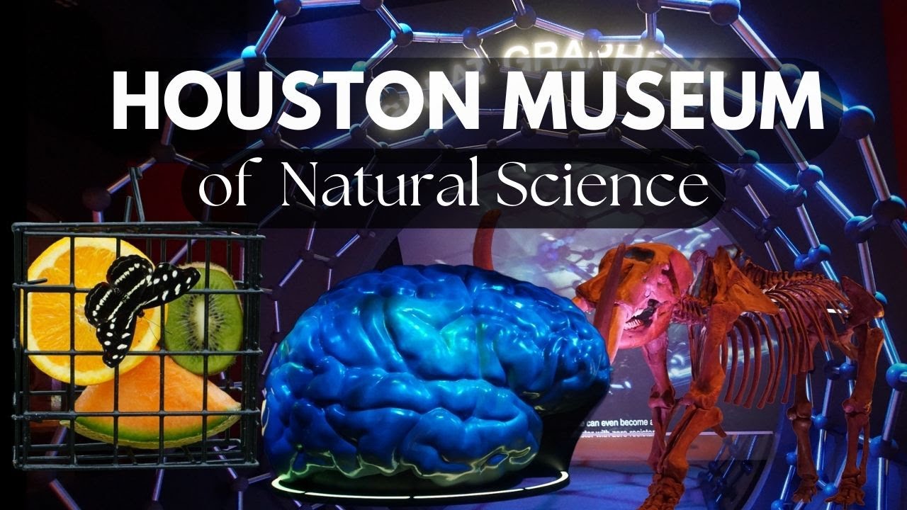 Houston Museum of Natural Science | Experience & Learn from Main ...