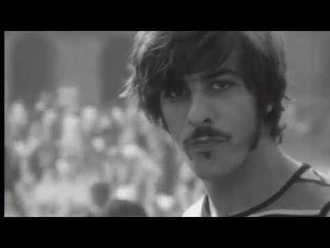 Du cannabis au CBD L'histoire de Bernard Rappaz - YouTube