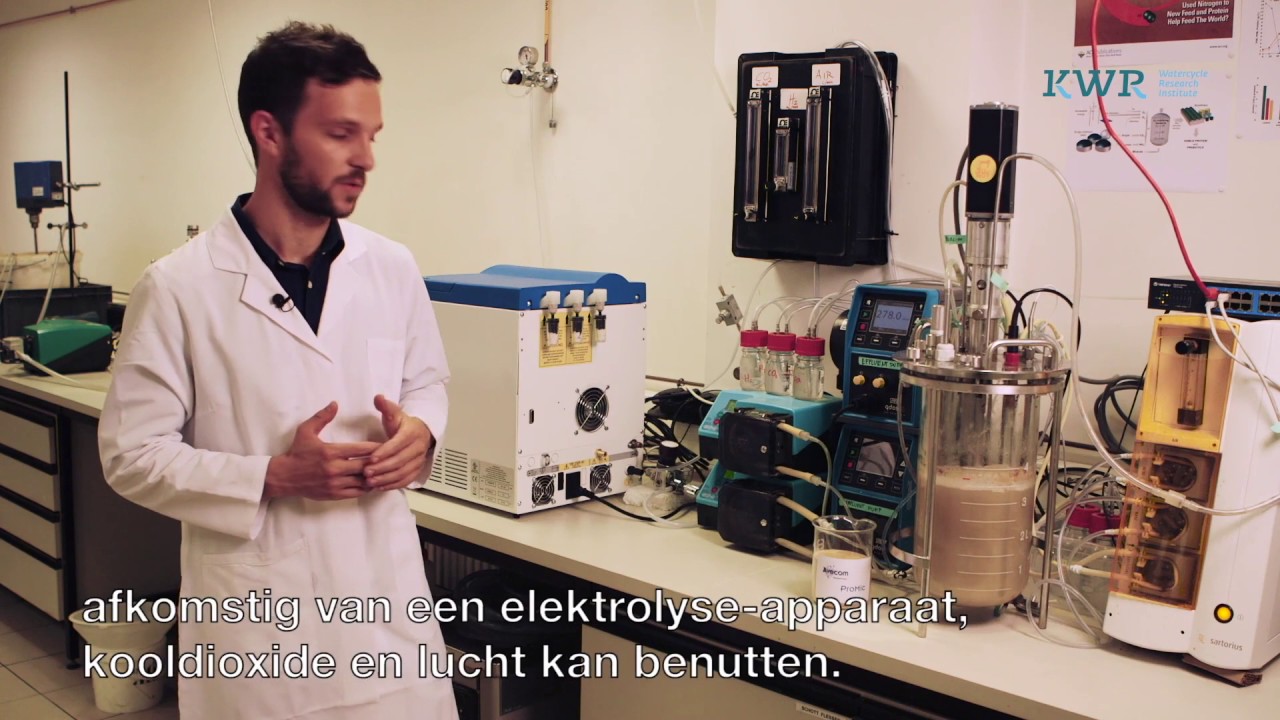 Willy Verstraete - Power-to-protein - Waterinnovator - YouTube