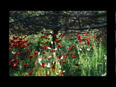 Onur Özmen - Suna'nın Acısı / Meddah Film Müziğinden