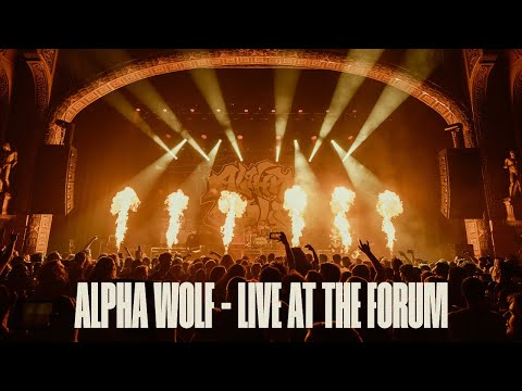Alpha Wolf - Live at The Forum (Melbourne)