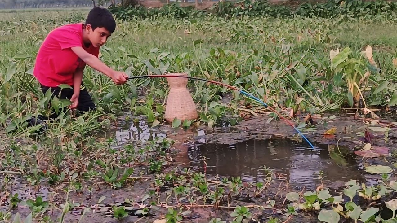 Traditional boy || Amazing hook fishing video || Fishing koi fish by ...