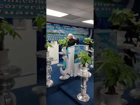 David y la mujer de Urias 2SAMUEL 11 #viral #fyp #biblia #palabradeDios ...