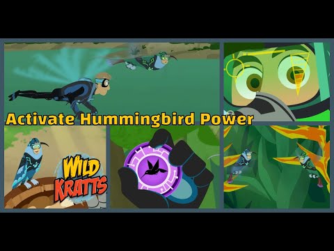 Wild Kratts Activate Hummingbird Power - Compilation - YouTube
