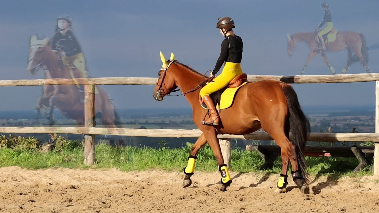 BARDZO FAJNY TRENING NA UJEŻDŻALNI - YouTube