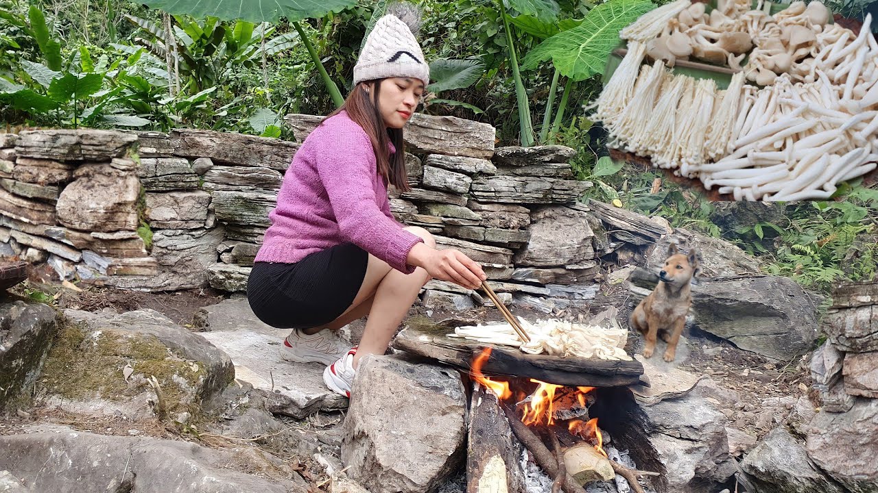 Cooking Mushroom On Stone - Eating Delicious, Girl Cooking #33 - YouTube